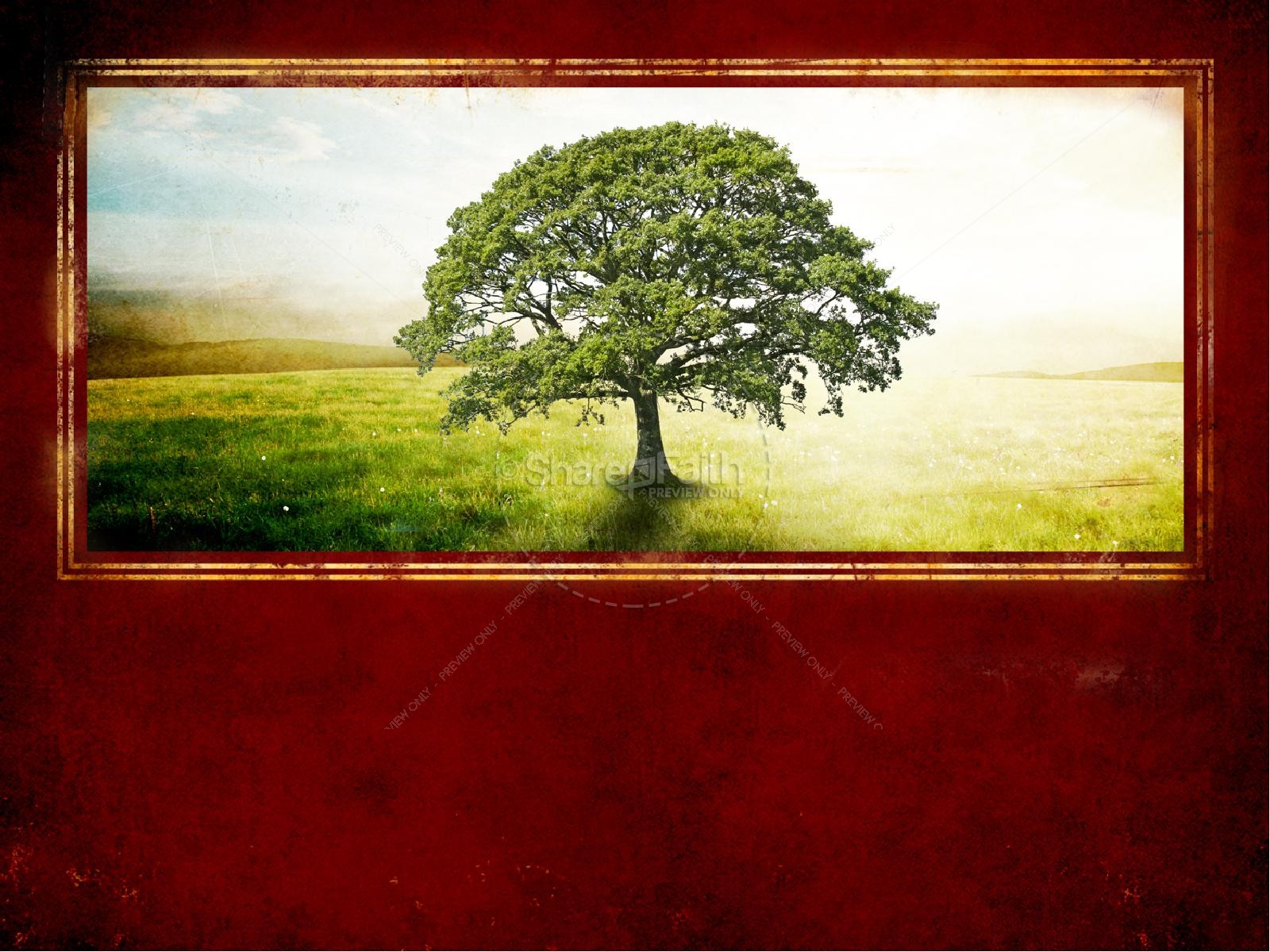 ShareFaith Media » Sermon PowerPoint Graphics – ShareFaith Media